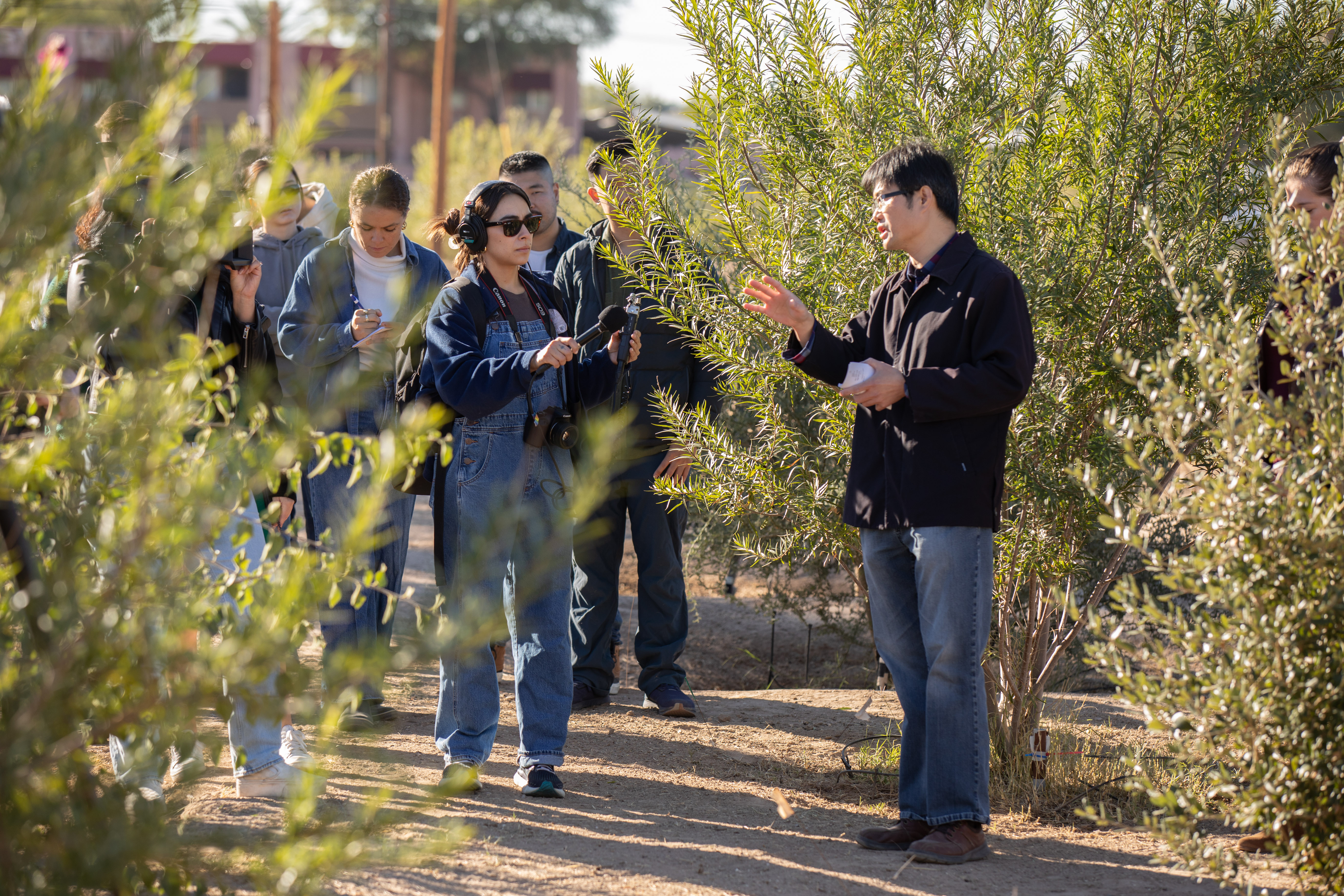 Improving water conservation and mitigating Arizona's heat island ...
